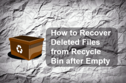How to Recover Files Deleted from the Recycle Bin Free