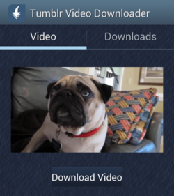 6 Ways to Download Tumblr Videos Free