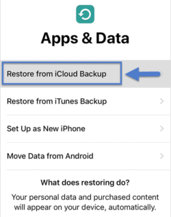 Recover Lost Data from iPhone/iPad after iOS 11/12 Update