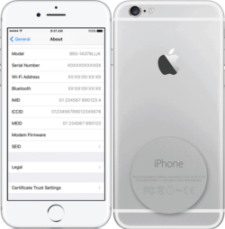 What to Do if Your iPhone has Bad ESN or Blacklisted IMEI