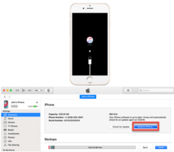 [Solved] How to Fix iPhone Stuck in Boot Loop (iOS 13/12/11)