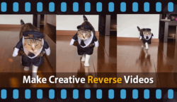 How to Play Videos from the End to the Start