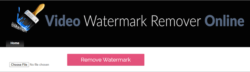 Top Best Video Watermark Remover Software Online and Offline